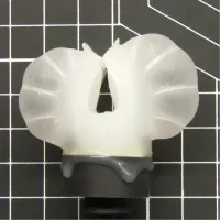 CloudBerry | Home - MakerWorld