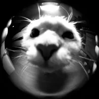 Ikeda | Home - MakerWorld