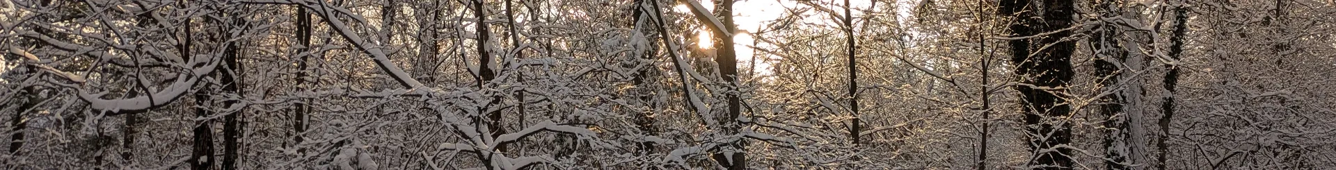 MaKim | 已发布 - MakerWorld